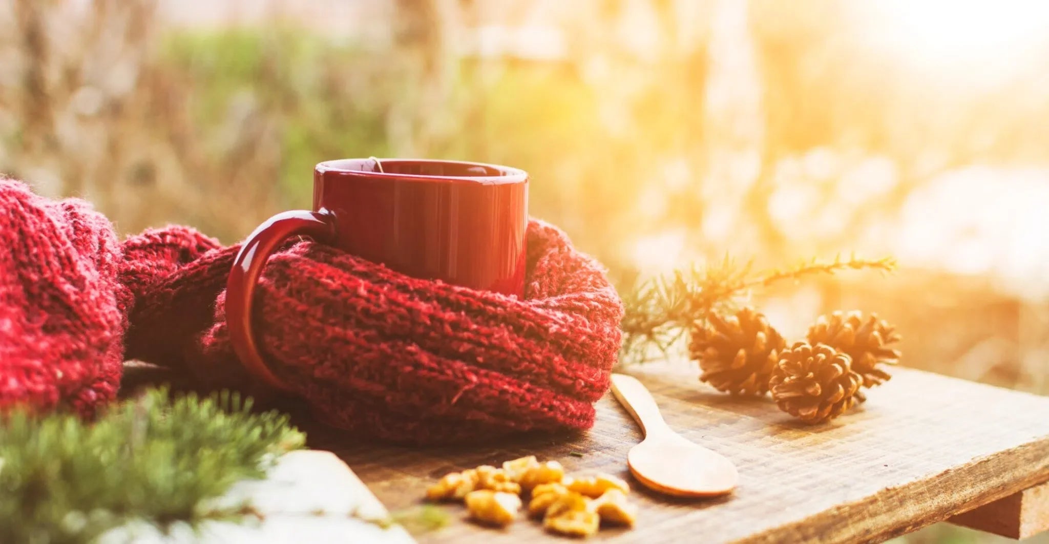 Hemant Ritucharya- A Holistic Guide To Winter Routine | Charya – Charya ...